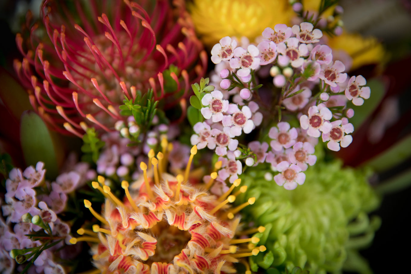 Best Heat-Tolerant Flowers & Summer Care Guide | Wild Posy - Wild Posy ...